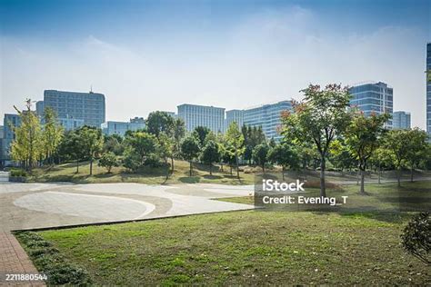 무성한 녹지와 현대적인 도시 풍경을 배경으로 한 고요한 도시 공원 건물의 층에 대한 스톡 사진 및 기타 이미지 건물의 층 건축 경관 Istock