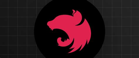 Nestjs Payload Validation Dev Community