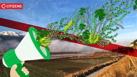 Installing DPI Without A Legal Framework Risk Of Censorship And Privacy Violations Citizens Al