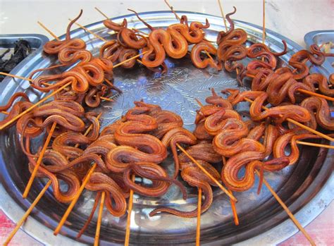 ΦΑΓΗΤΑ ΑΠΟ ΟΛΟ ΤΟΝ ΚΟΣΜΟ Snake Kebab