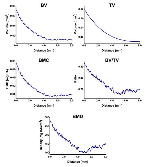 Outer Boundary Assisted Segmentation And Quantification Of Trabecular
