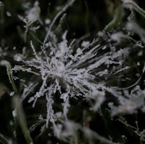 二十四节气今日大雪 今日大雪 滑冰 冬日