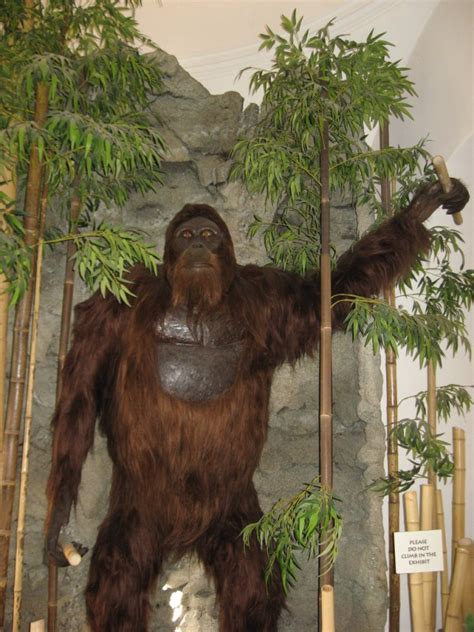 Gigantopithecus Fact Sheet Cswd