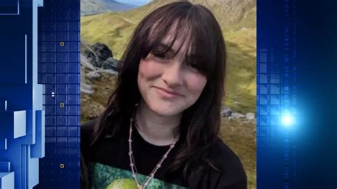 Missing Girl 14 Found Safe In Michigan Sex Offender In Custody