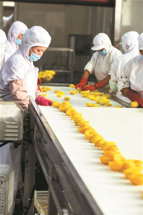 Canned Food Quality Captures Market Share Investinchina