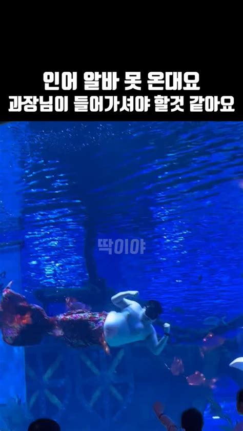 딱이야 상품번호 817번 👉 프로필 링크에서 검색 인어공주 꼬리 담요 🔍영상 속 상품찾기 프로필 링크 클릭해서 들어가 상품번호로 확인 👉 Itthis