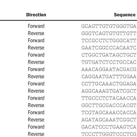 liver histology and triglyceride content of db db mice a hematoxylin