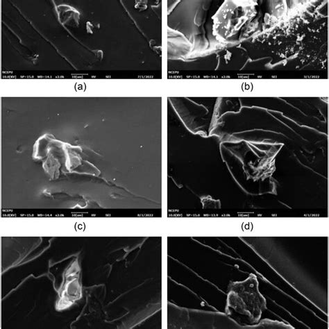 Micromorphology Of The Cross‐section Of Samples Unaged And Aged For 32
