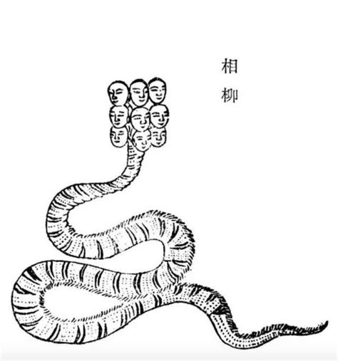 山海经九头蛇 山海经鲛人 伤感说说吧