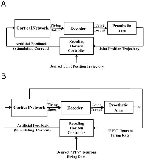 technologies special issue brain machine interface technology