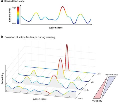Figure 2 From The Role Of Variability In Motor Learning Semantic Scholar