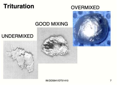 Lecture 6 Amalgam Ii Flashcards Quizlet