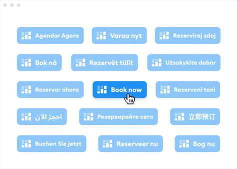 Display A Booking Button In Multiple Languages Setmore