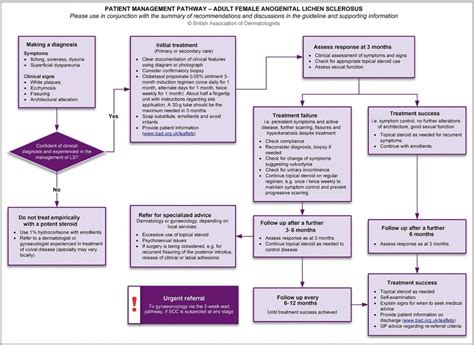 Lichen Sclerosus Obgyn Key