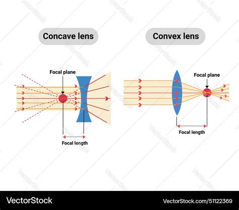 Light Rays Passing Through Lens Convex Converging Vector Image