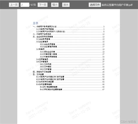 Vue项目基于pdfjs Dist实现pdf简易版阅读器小说阅读器样式pdf Vue组件 Csdn博客