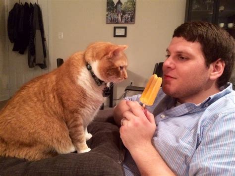 Lazy Days With Banana 05 Everyday Accounts Lazy Days With Banana 05 Everyday Accounts