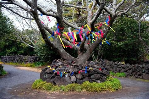한국 개신교 선교할 때 꽤 자주 사용되었던 방법 포텐 터짐 최신순 에펨코리아