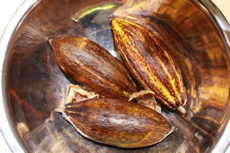 Cocoa Pods Feedipedia