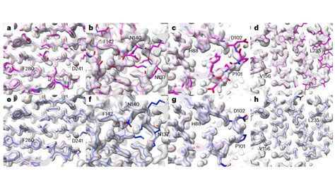 Why Did The Protein Structure Prediction Tool Alphafold Experience A