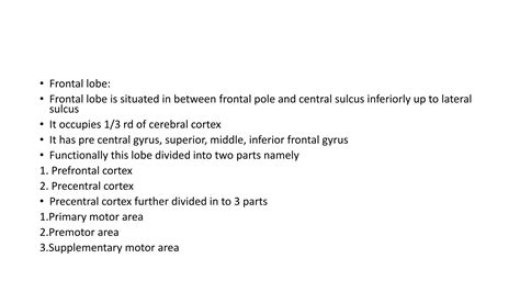 Cerebrum Motor And Sensory Cortex Basal Ganglia Pptx