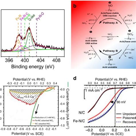 Pdf Oxygen Reduction Reactions Of Fe N C Catalysts Current Status And The Way Forward