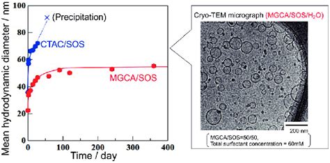 Cryo TEM Image And Change In Average Particle Size Over Time Of The Download Scientific Diagram