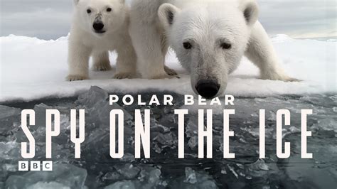 Watch Bbc Natural History Documentaries
