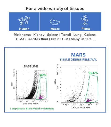 Applied Cells On Linkedin Nuclei Isolation From Tissues Simplify Your Workflow With Mars® One