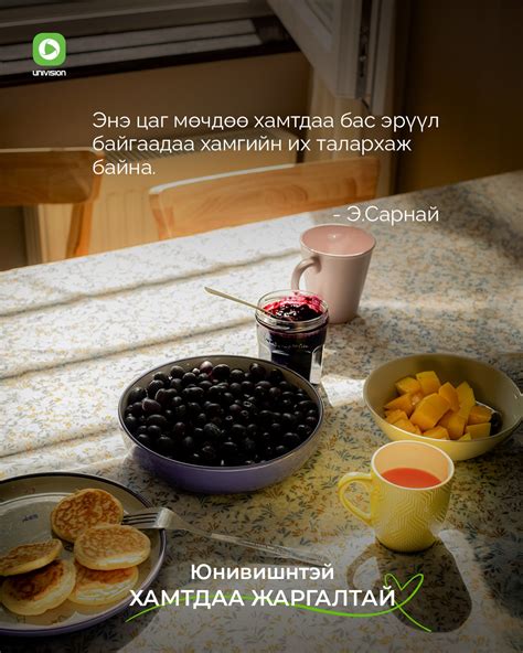 Univision Mongolia Айл бүр өөрсдийн гэсэн аз жаргалын өнгөтэй байдаг