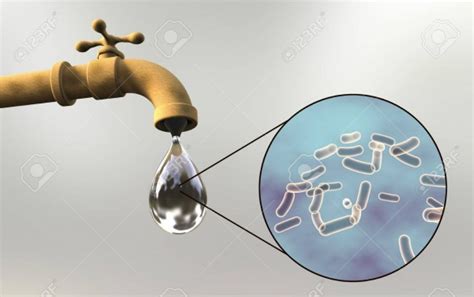 Ундны усны эрүүл ахуй зохистой хэрэглээ Ололт амжилтын түлхүүр