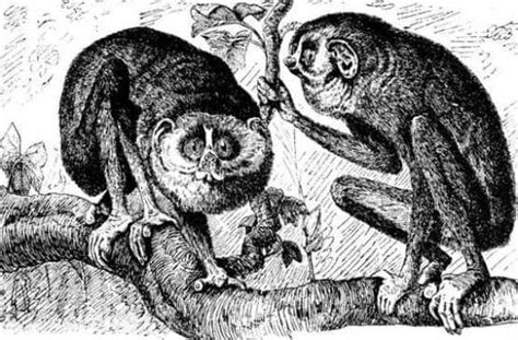 如何在 Linux Unix 上使用 Awk 打印文件名 Linuxstory