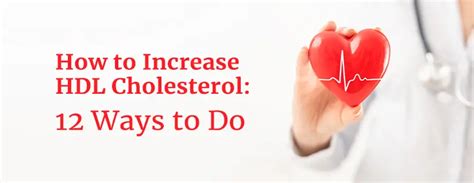 12 Ways To Increase Hdl Cholesterol