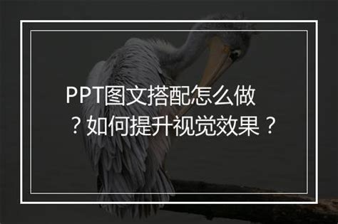 Ppt里如何输入大于号？怎么在ppt中添加大于符号？ 8104办公软件