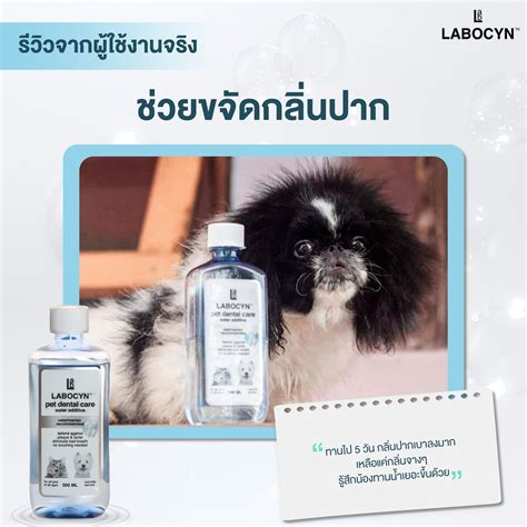 Labocyn