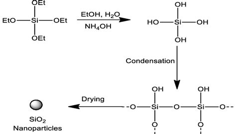 Basic Scheme Of Synthesis Of Silica Nanoparticles Download Scientific