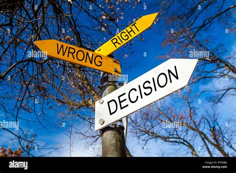 Decision Tree Hi Res Stock Photography And Images Alamy