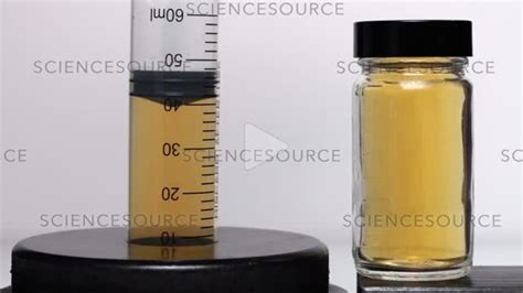 Video Nitrogen Dioxide Equilibrium Science Source Images