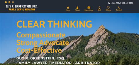 Experience Guy R Greenstein