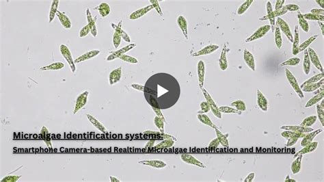 Microalgae Identification Water Quality Monitoring Jani Chetankumar