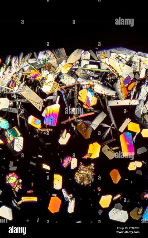 Microscopic Shot Showing Colorful Microcrystals In Polarized Light