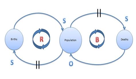 Causal Loop Diagram For Population Dynamics Download Scientific Diagram