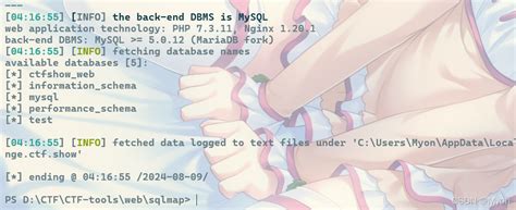 ctfshow web入门 sql注入web web 系统练习sqlmap的使用 技术栈 ctfshow web入门 sql注入web web 系统练习sqlmap的使用 技术栈