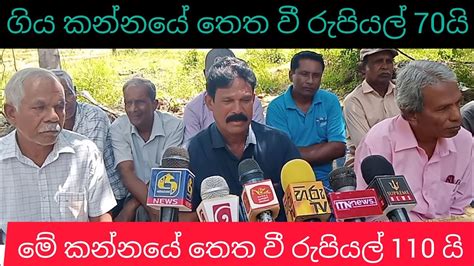 🥰 තෙත වී වලට හොඳ මිලක් ඒ නිසා ගොවීන් 😍පෞද්ගලික අංශයට දෙනවා News Youtube