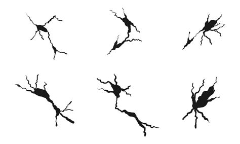 Hand Drawn Cracked Wall Ground Glass Egg Vector Image