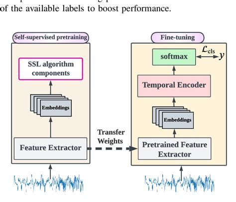 In Self Supervised Pretraining We Use The Feature Extractor Of The