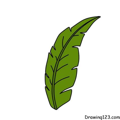 How To Draw A Leaf Step 4 2