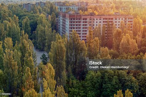 잃어버린 도시 프리피야트의 공중 전경 나무로 자란 빈 콘크리트 바닥의 많은 체르노빌 원자력 발전소 사고 후 33년 동안 피난 후 프리피야트 건축에 대한 스톡 사진 및 기타