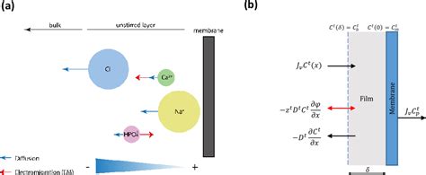 Figure 1 From Simplifying Concentration Polarization Of Trace Ions In Pressure Driven Membrane