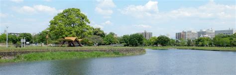 公益財団法人くまもと地下水財団公式サイト